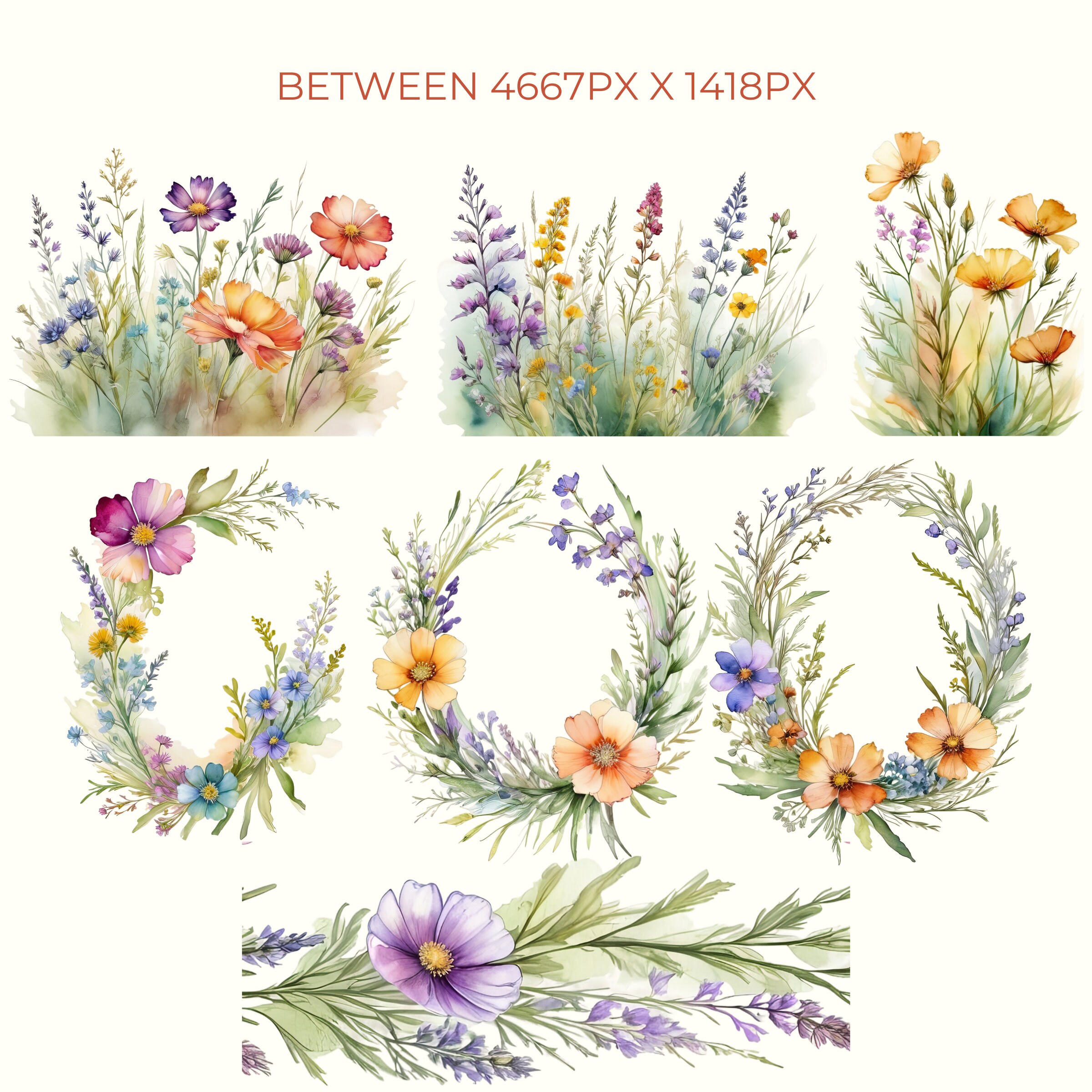 Wildflower Meadow Clipart PNG, Color Splash Flowers, Floral Images for ...