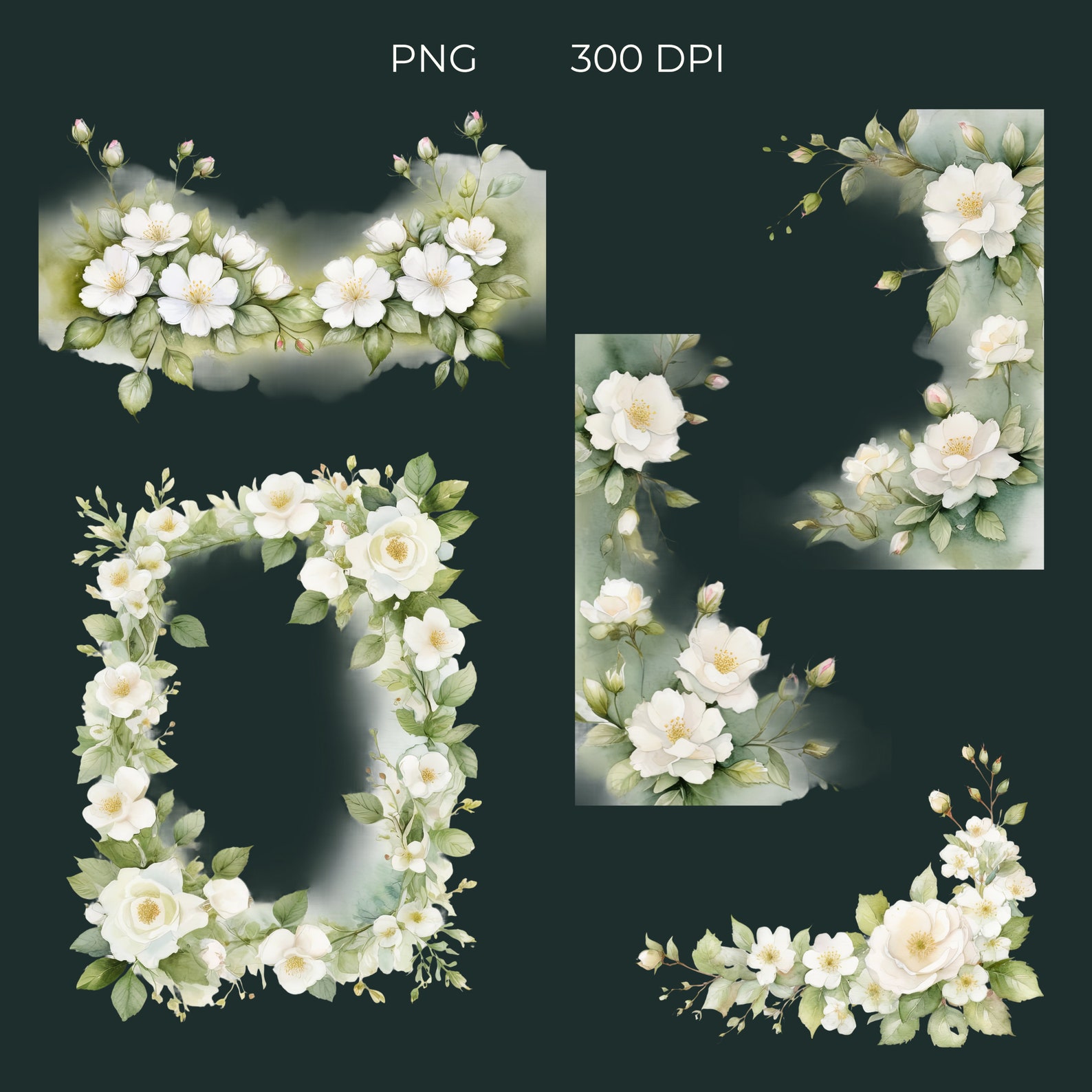 White Rose Border Clipart, Watercolor Floral Borders, Instant Download ...