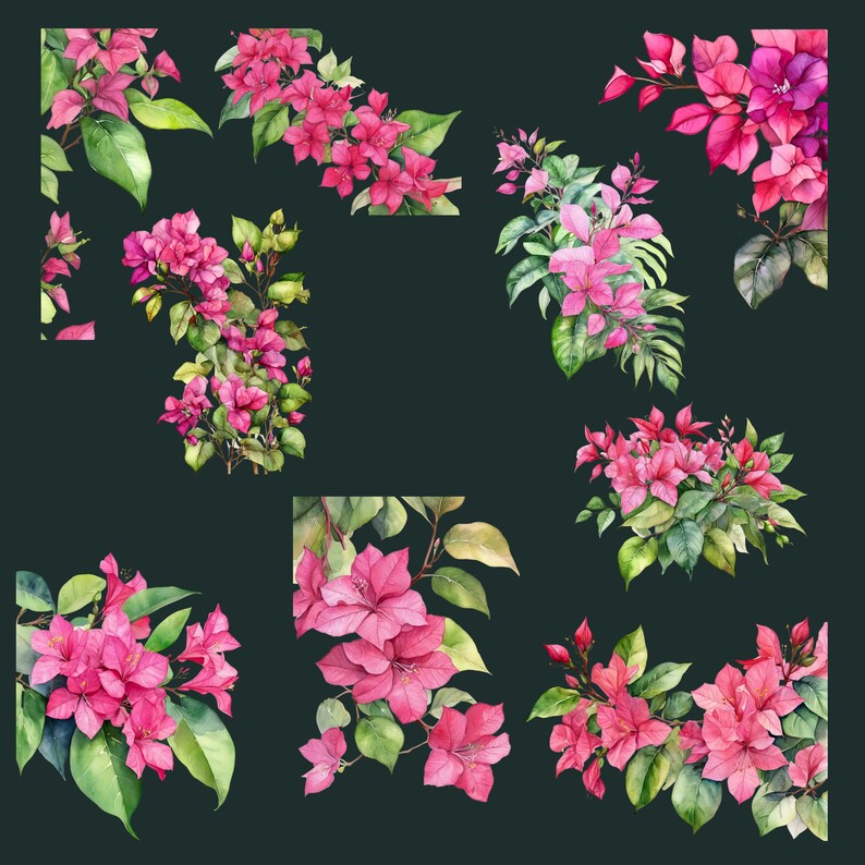 Bougainvillea Flower Clipart Bundle, Pink Boganvilla Floral Garland ...