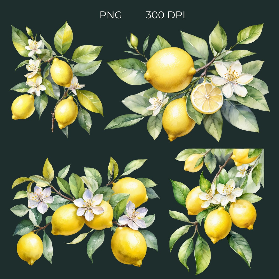 Citrus Lemon Clipart Pack, Watercolor Clip Art Set, Scrapbook Paper ...