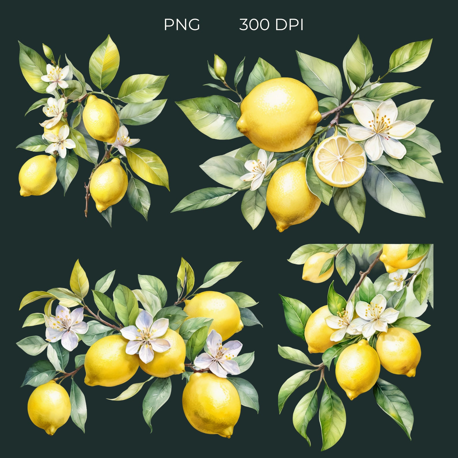 Citrus Lemon Clipart Pack, Watercolor Clip Art Set, Scrapbook Paper ...