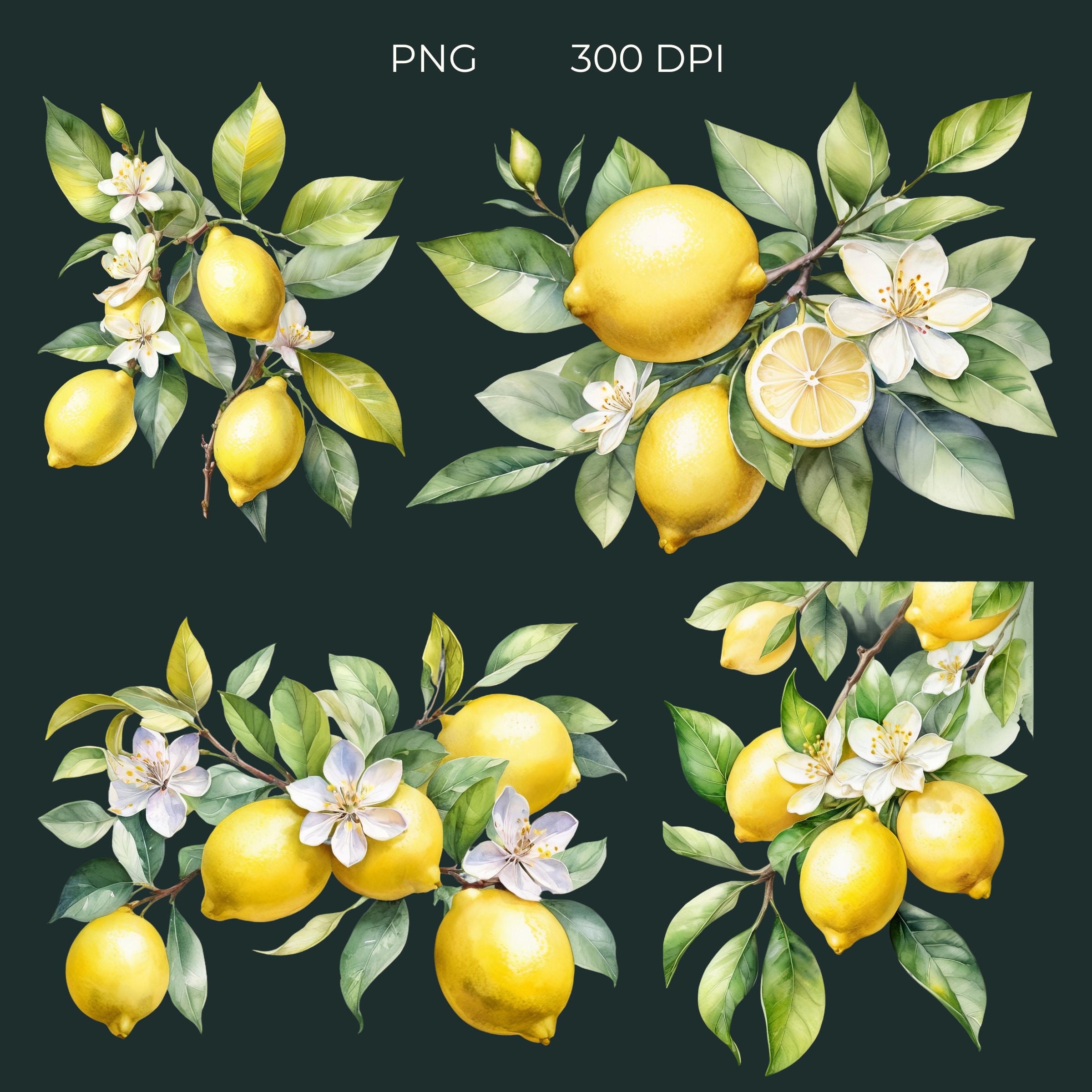 Citrus Lemon Clipart Pack, Watercolor Clip Art Set, Scrapbook Paper ...