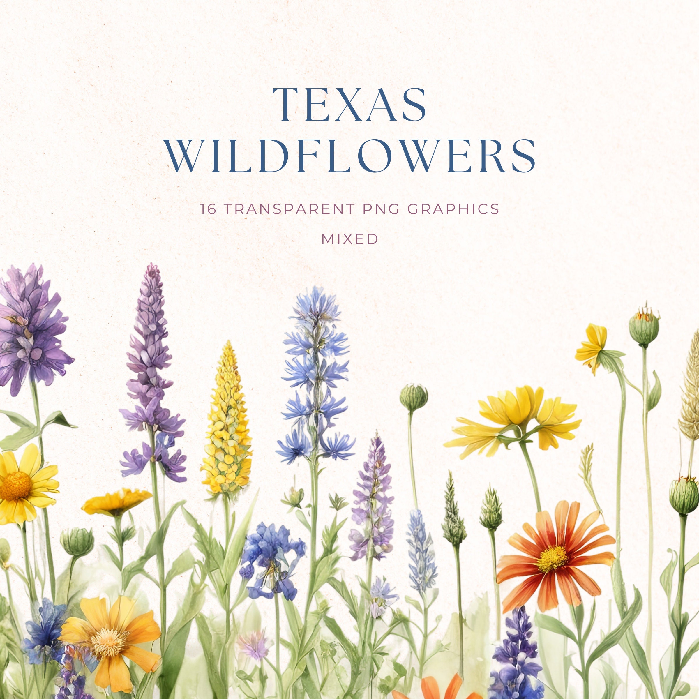 Texas Wildflower Clipart Set, Instant Download PNG Files, Wildflower Floral Clip Art Pack ...
