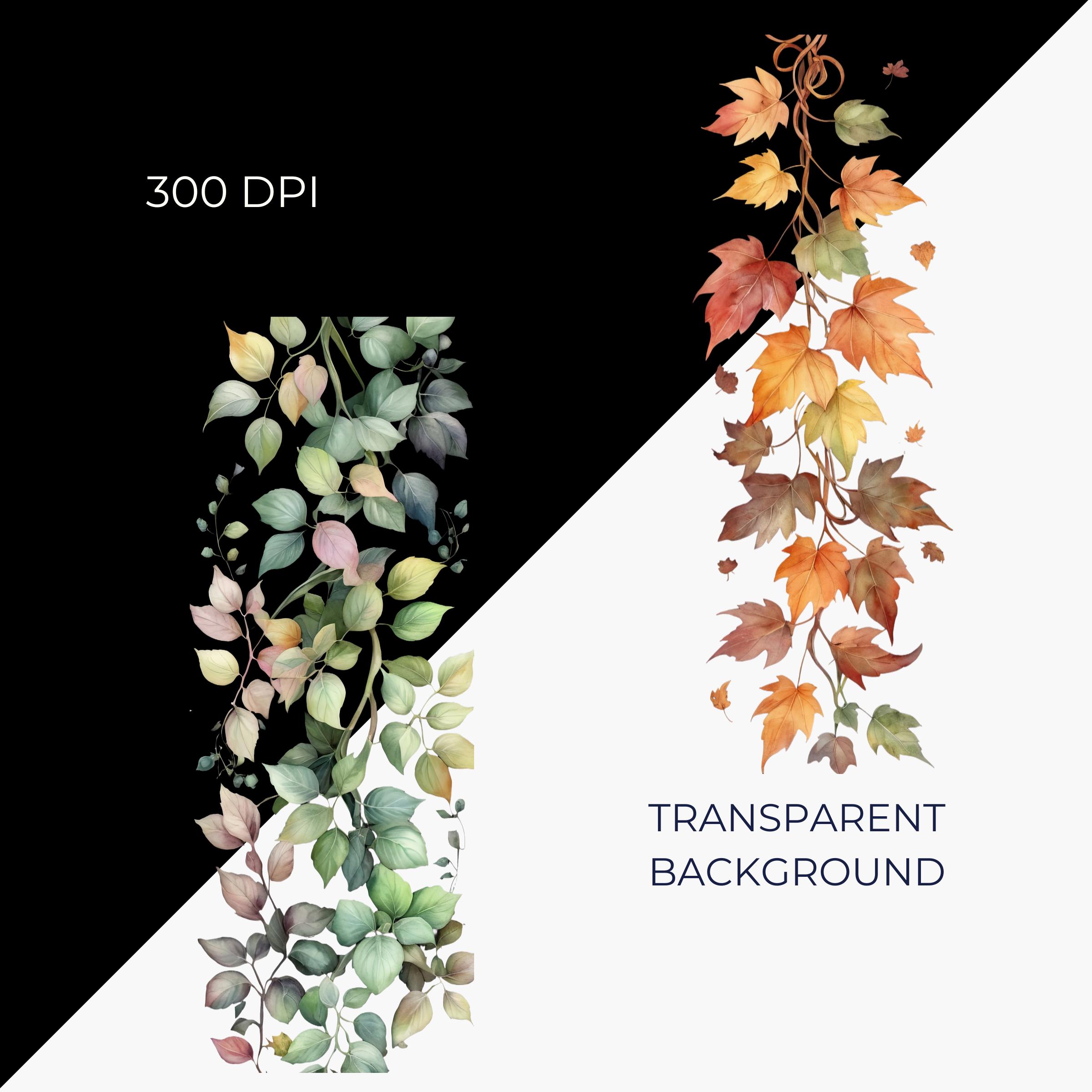 Mixed Foliage Vine Clipart Set, Paper Craft Borders, Leaf Border ...