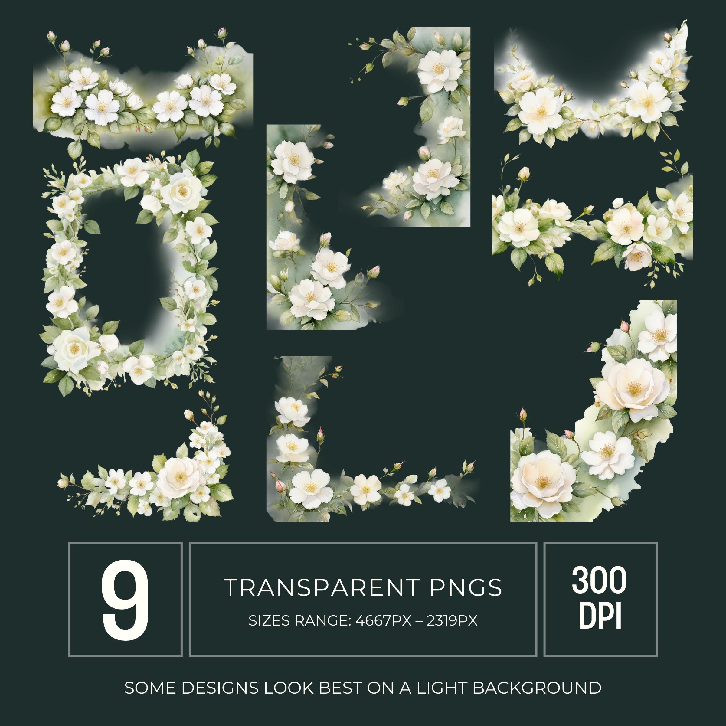 White Rose Border Watercolor Clipart PNG, Floral Border Graphics for ...