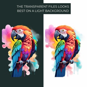 Neon Macaw Clip Art, Colorful Parrot Clipart, Tropical Bird PNG Images ...