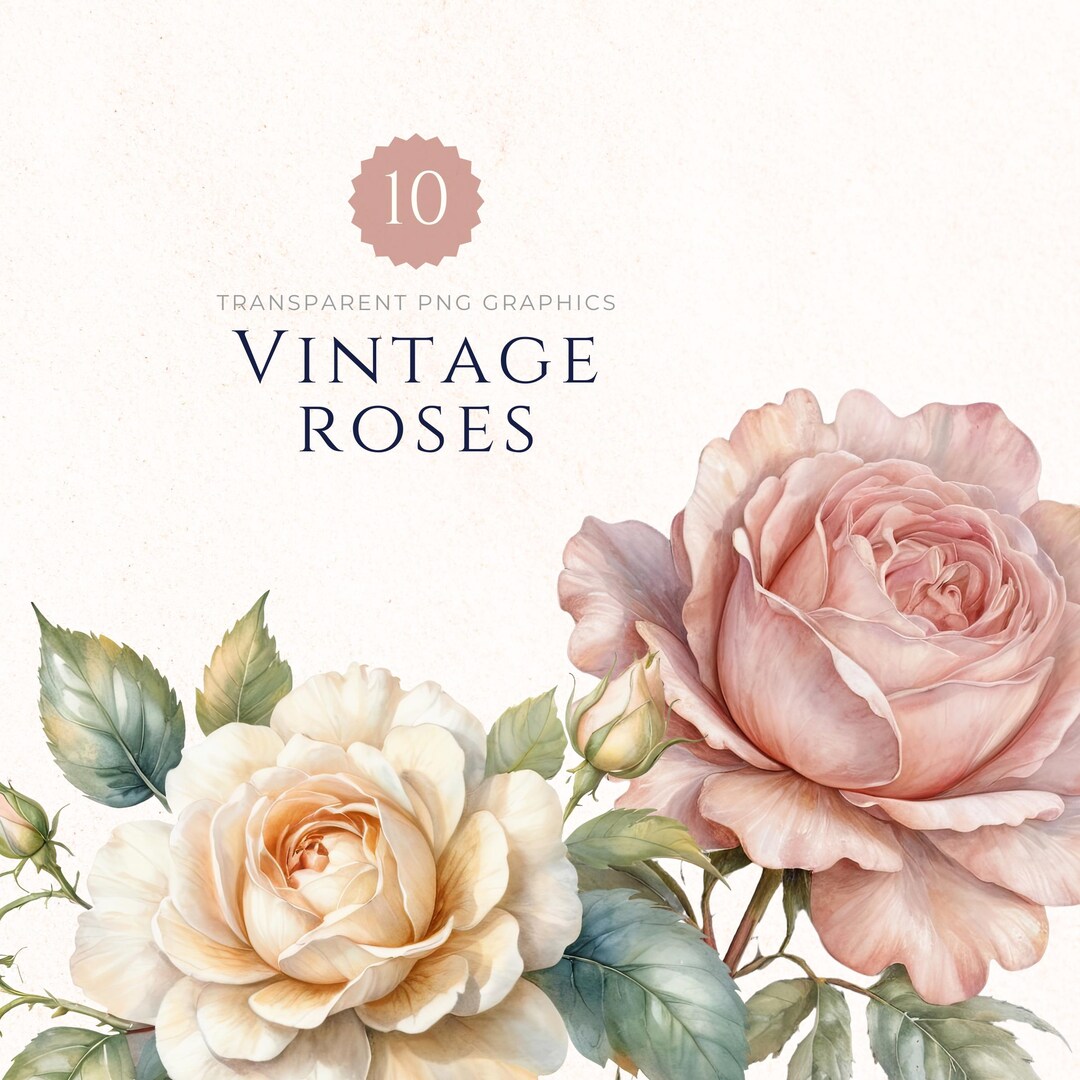 Vintage Rose Clipart Instant Download, Scrapbook Graphics, Flower ...