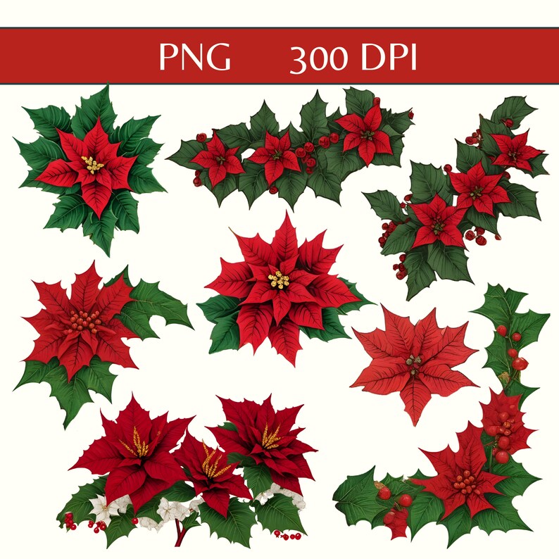 Poinsettia Clipart, Christmas Flower Decoration, Floral Winter Clip Art ...
