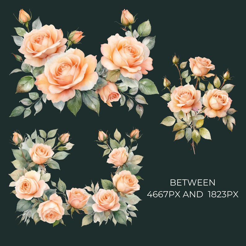 Peach Fuzz Roses Clipart, Flower Border Digital Download, Scrapbooking ...