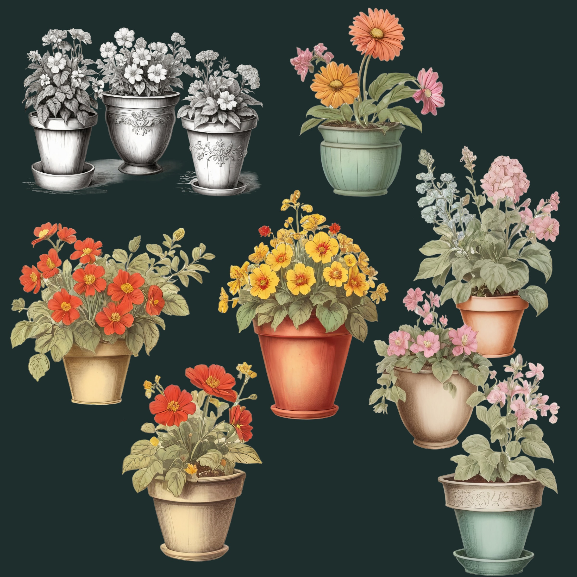 Flower Pot Clipart Set, Garden Clip Art PNG Images, Instant Download ...