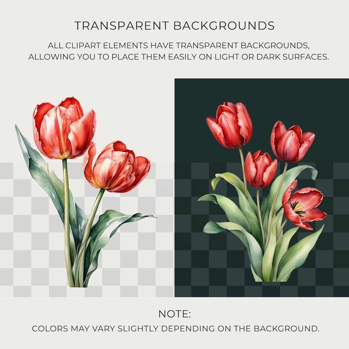 Spring Tulips Clipart, Watercolor Floral Design, Red Flower Clip Art ...