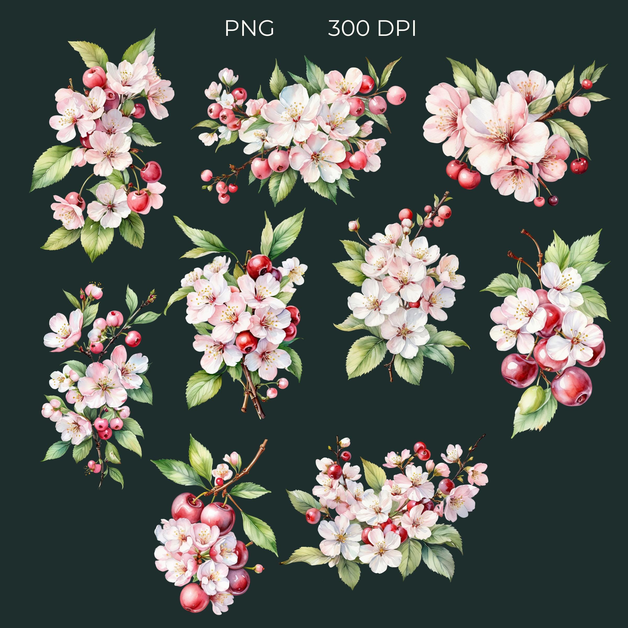 Cherry Bloom Clip Art, Watercolor Spring Floral Design, Instant ...