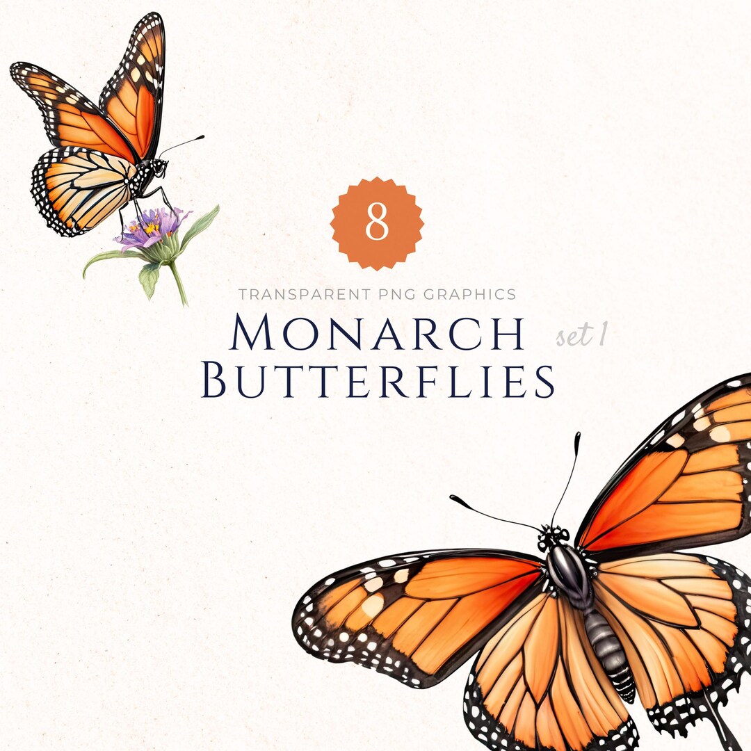 Monarch Butterfly Clipart, Orange Butterfly Clip Art PNG Files, Summer ...