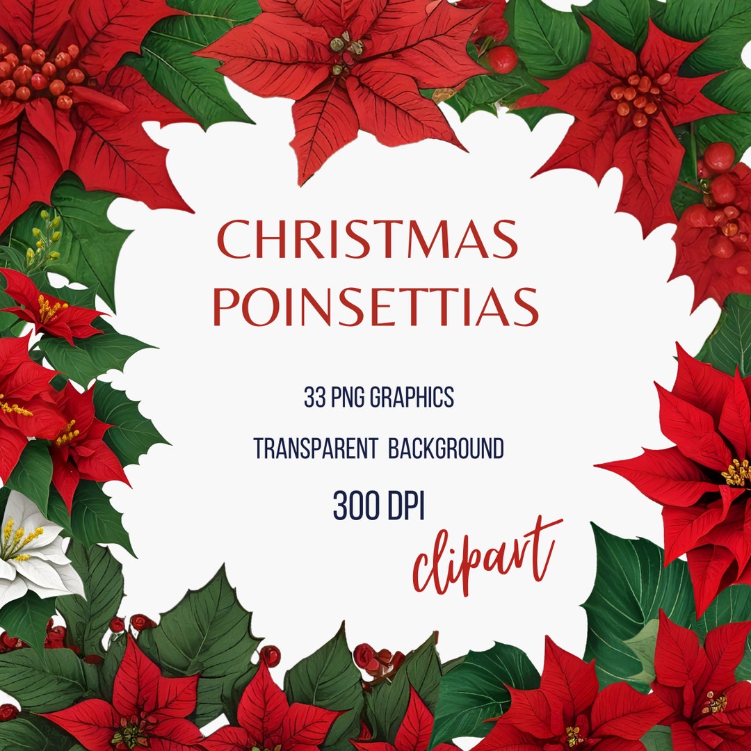 Poinsettia Clipart, Christmas Flower Decoration, Floral Winter Clip Art ...