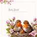 Spring Birds Clipart, Baby Bird Clip Art, Digital Download, Spring ...