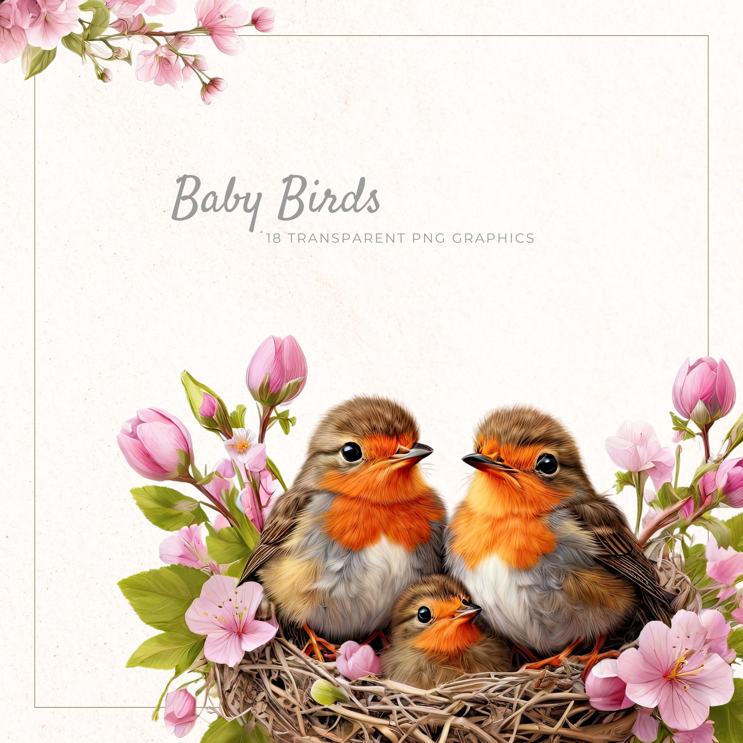 Spring Birds Clipart, Baby Bird Clip Art, Digital Download, Spring ...