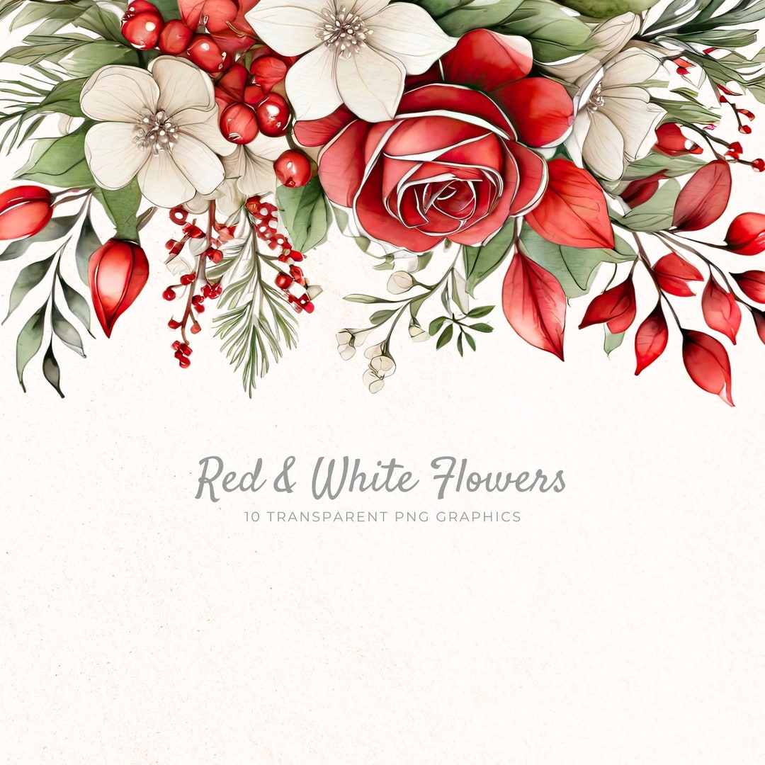 Red and White Flower Clipart PNG, Winter Floral Graphics, Instant ...