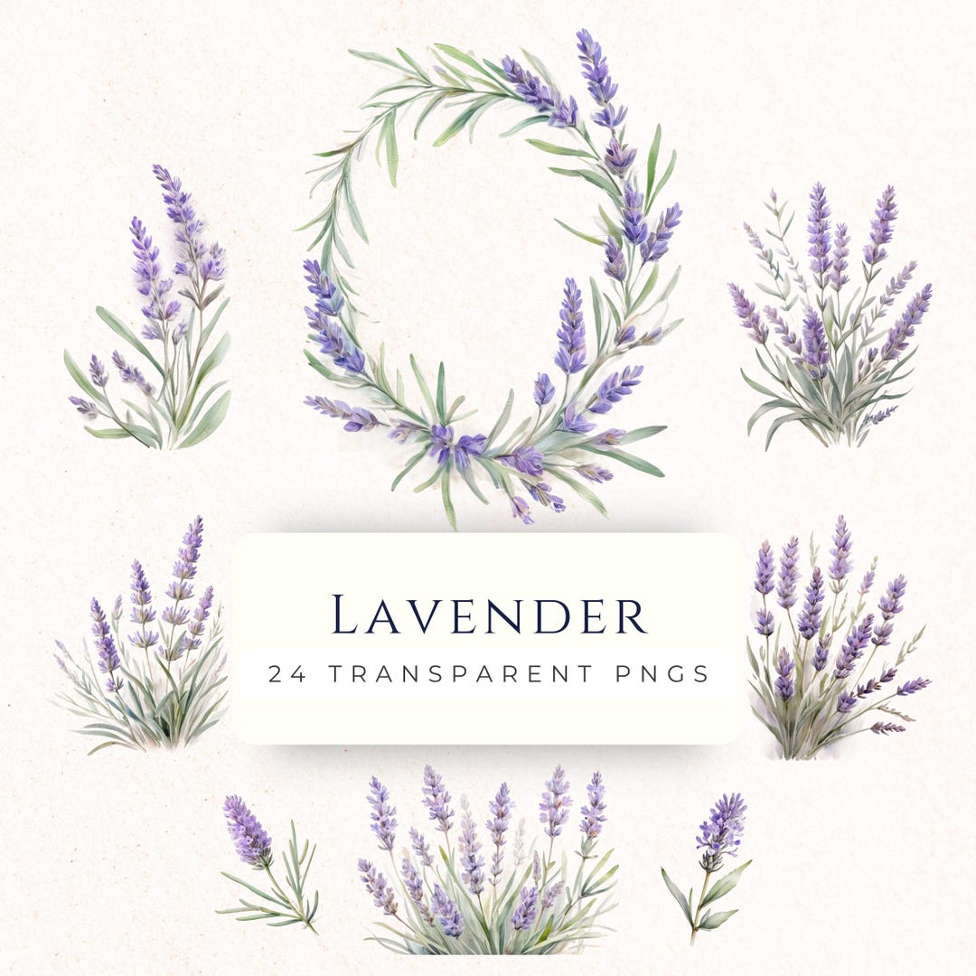 Watercolor Lavender Clipart Set, Purple Floral Graphics, Instant ...