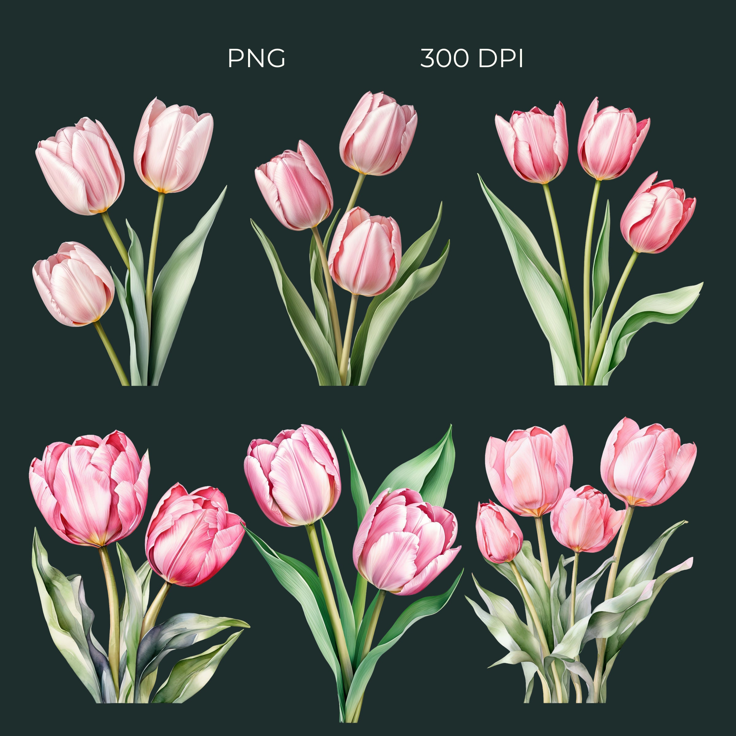 Pink Tulips Clipart, Watercolor Floral Design, Instant Download, Tulip ...