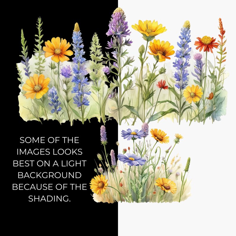 Texas Wildflower Clipart Set, Instant Download PNG Files, Wildflower ...