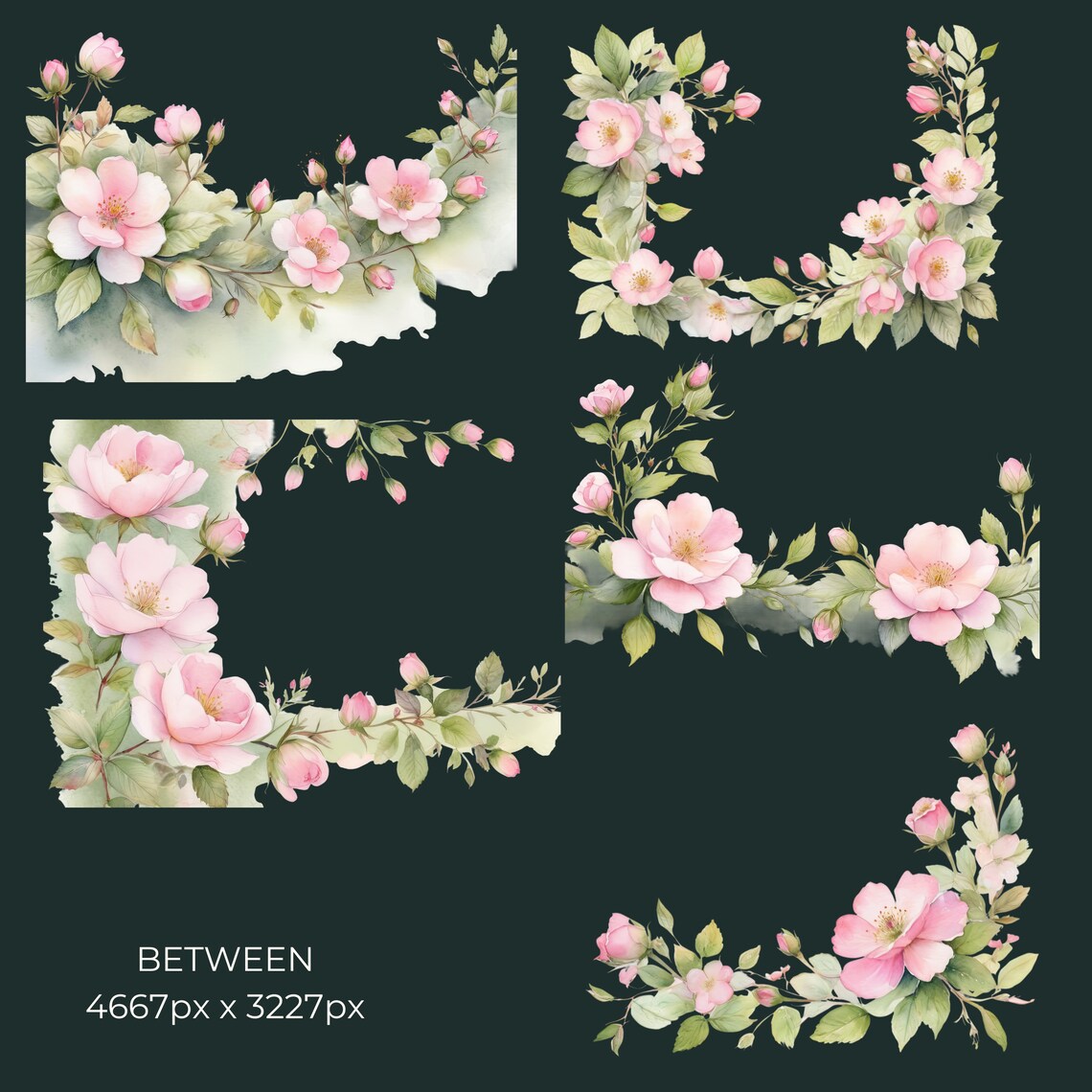Pink Rose Border Clipart, Watercolor Flower Borders, Instant Download ...