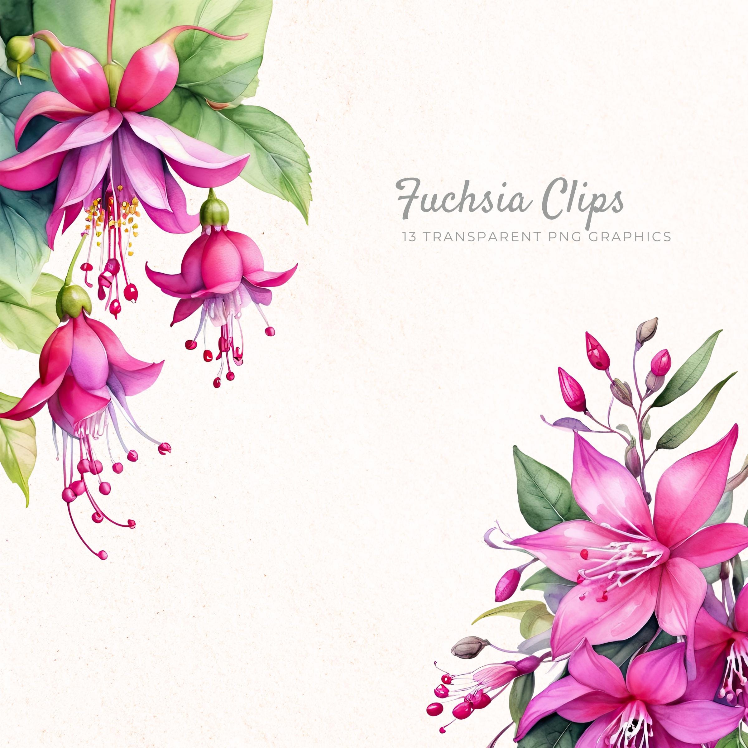 Pink Fuchsia Watercolor Floral Clipart Set, Journal Graphics ...