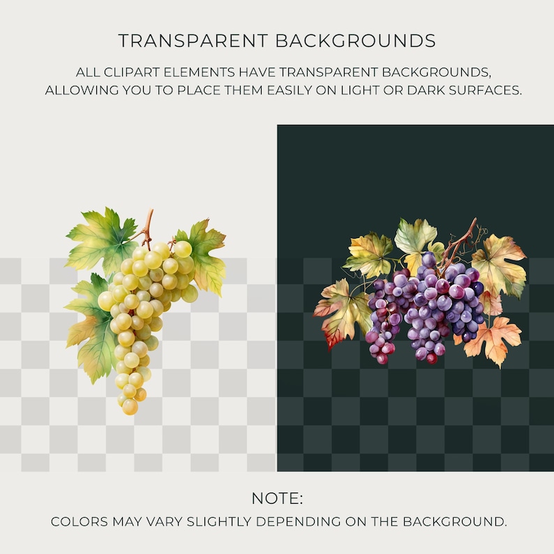 Wine Grapes Watercolor Clip Art, Fruit PNG, Grape Vine Clipart, Food ...