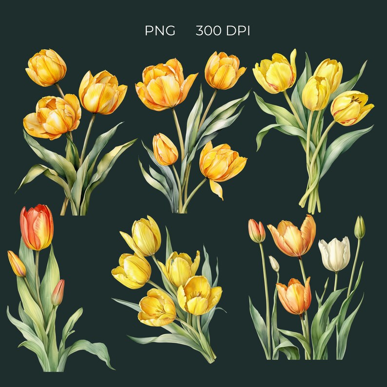 Yellow Tulips Clipart, Spring Flower Clip Art, Instant Download ...