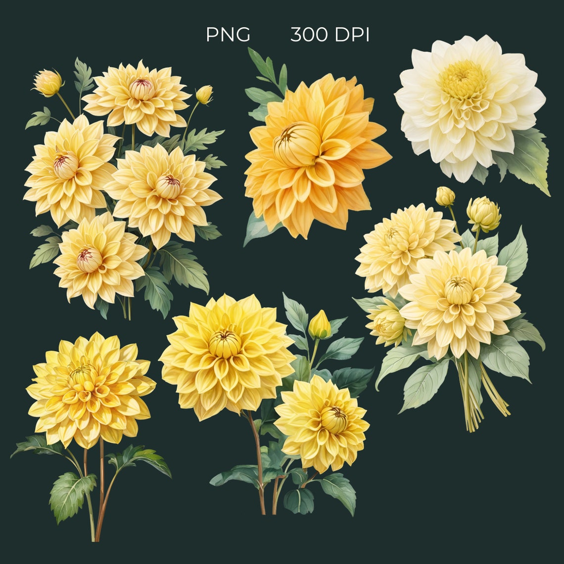 Dahlia Flower Clipart, Yellow Floral Graphic, Instant Download ...