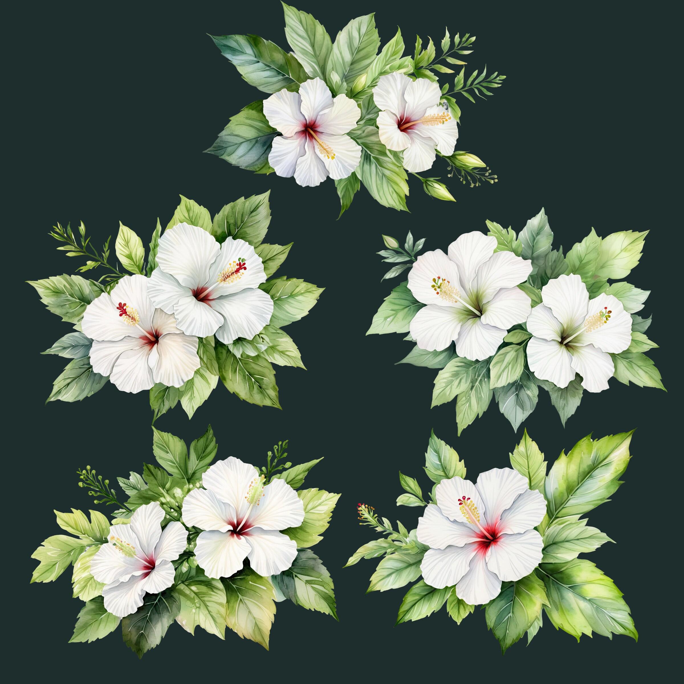 Hawaiian Hibiscus Clipart Set, Watercolor Floral Illustrations, Instant ...