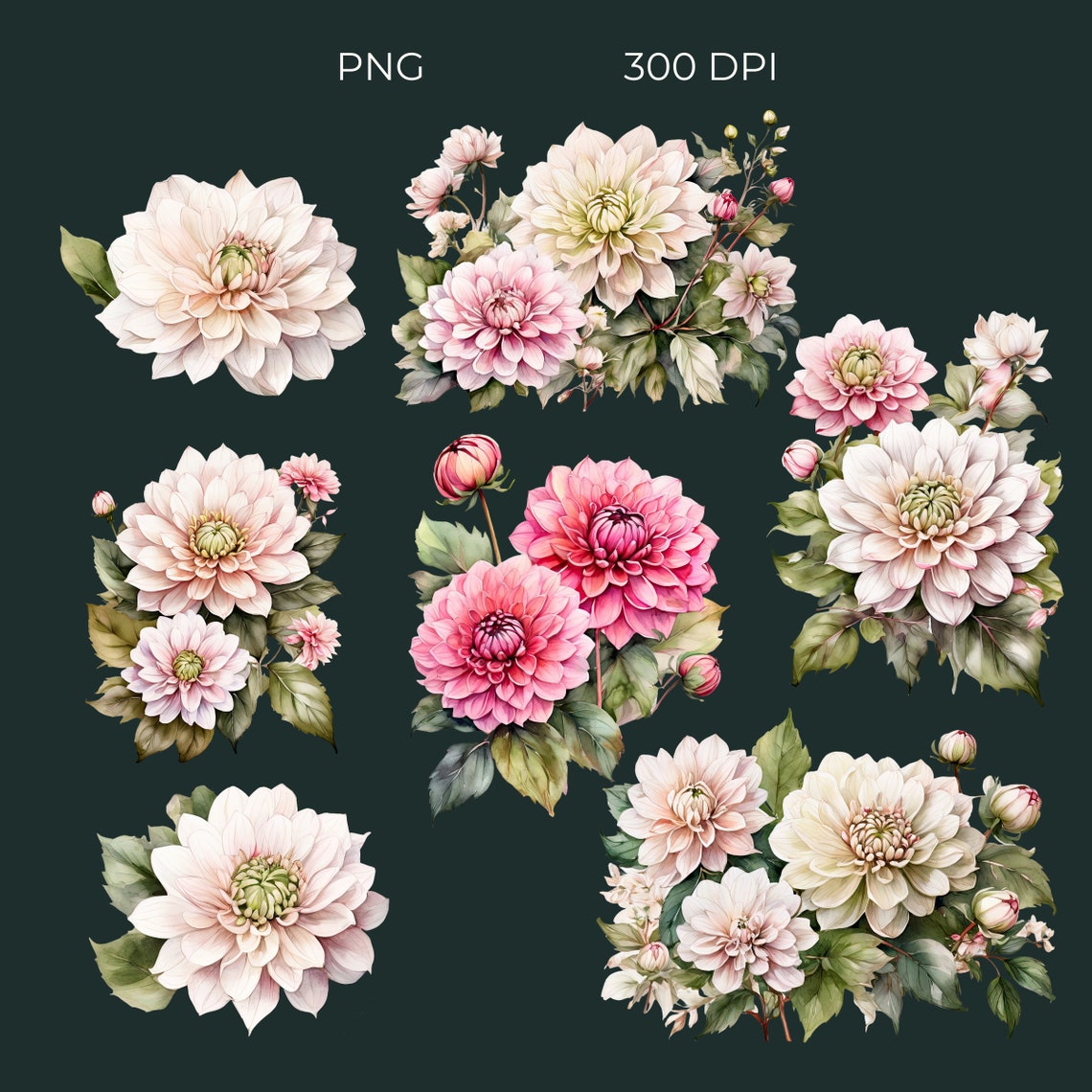 Pink Dahlia Flower Clip Art, Soft Pink Dahlias, Light Floral PNG ...