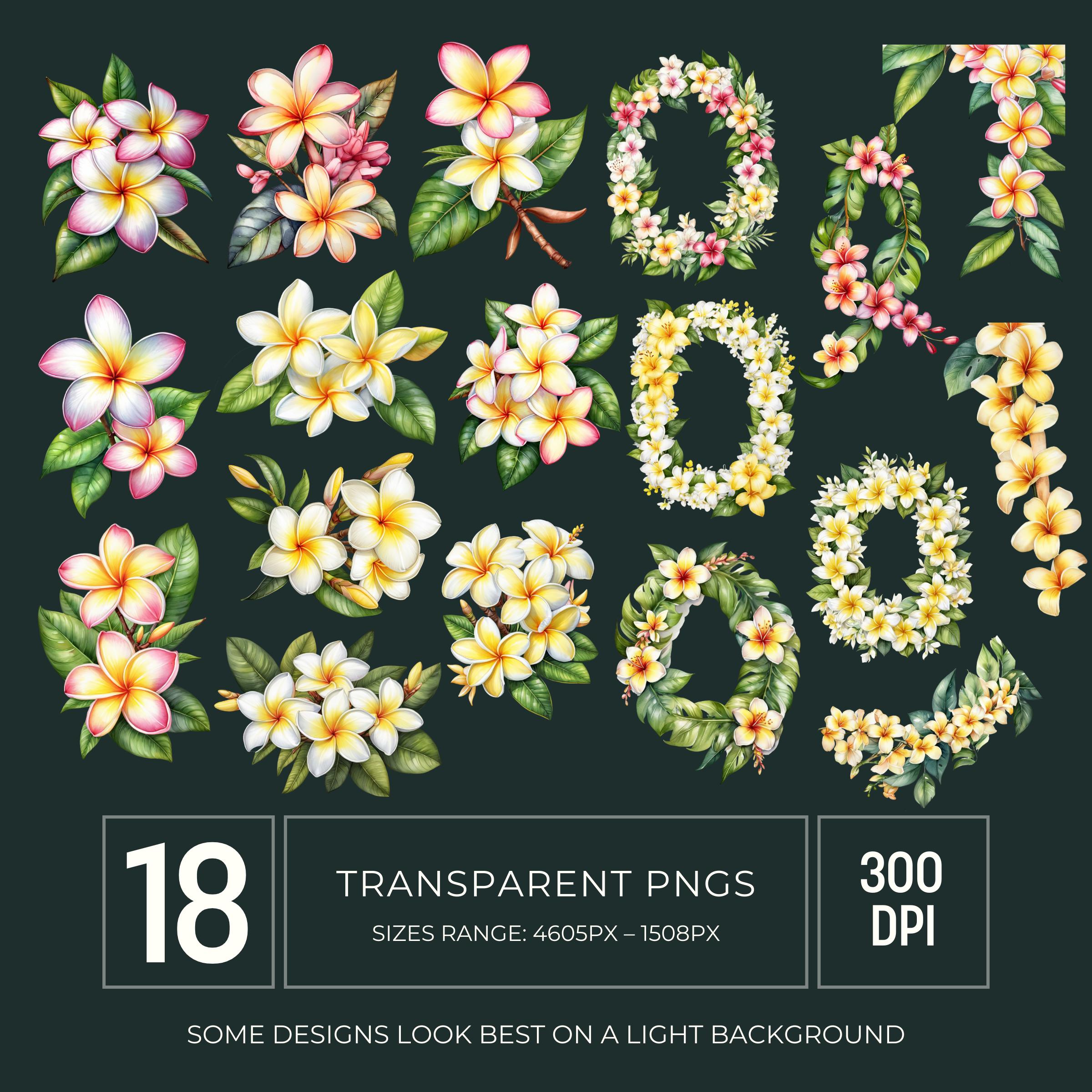 Plumeria Frangipani Watercolor Clipart Pack PNG, Tropical Hawaiian ...