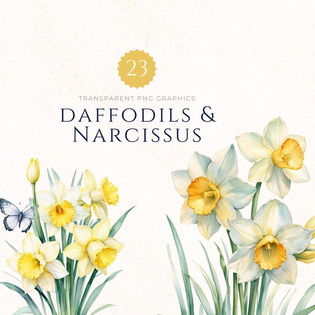 Floral Watercolor Clip Art, Daffodil Clipart, Spring Flower Clips ...