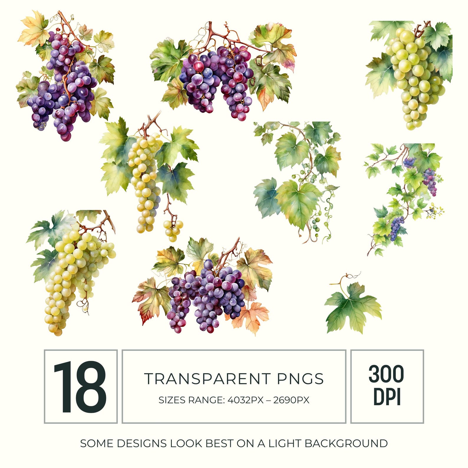 Wine Grapes Watercolor Clip Art, Fruit PNG, Grape Vine Clipart, Food ...
