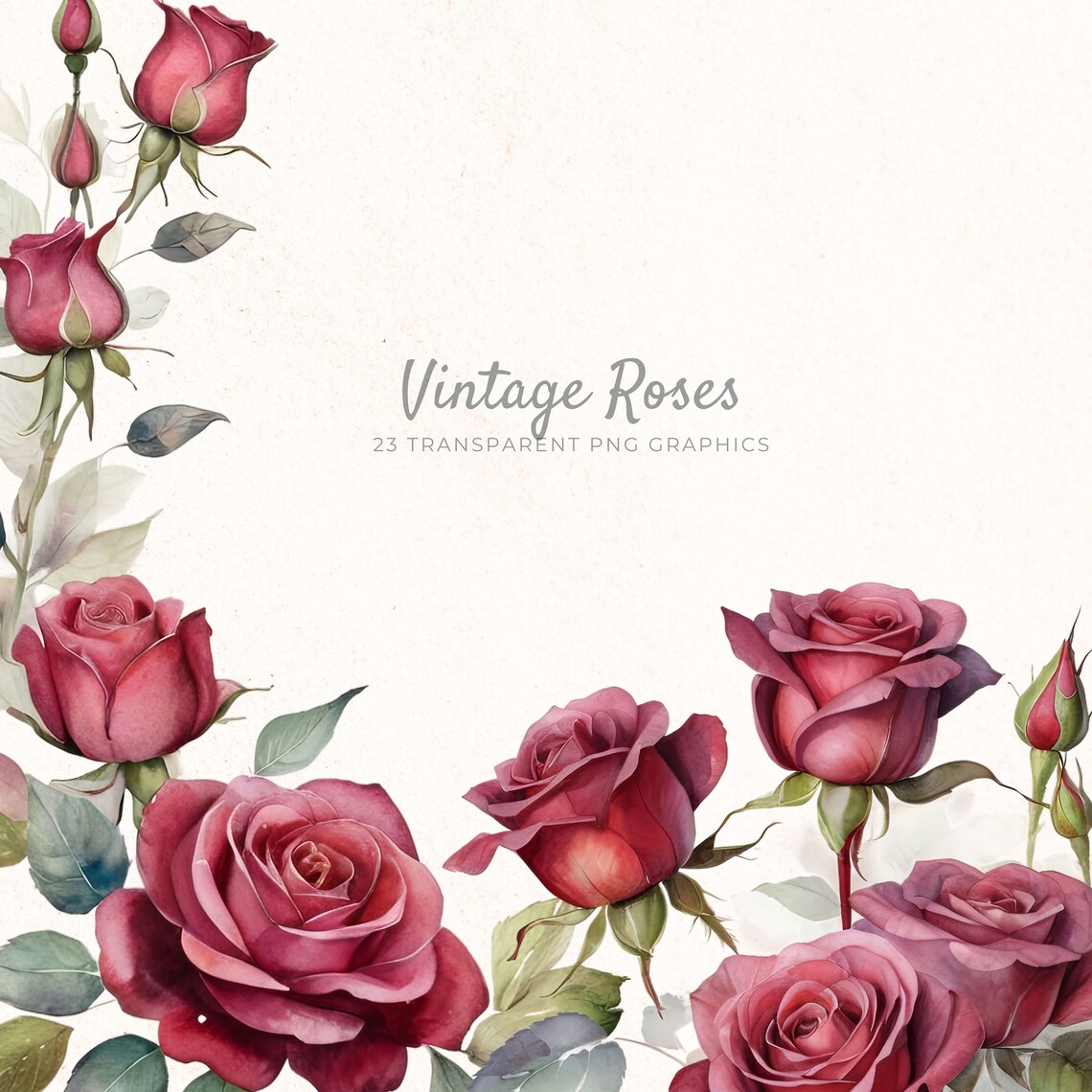 Vintage Burgundy Roses Clipart, Flower Border Digital Download ...