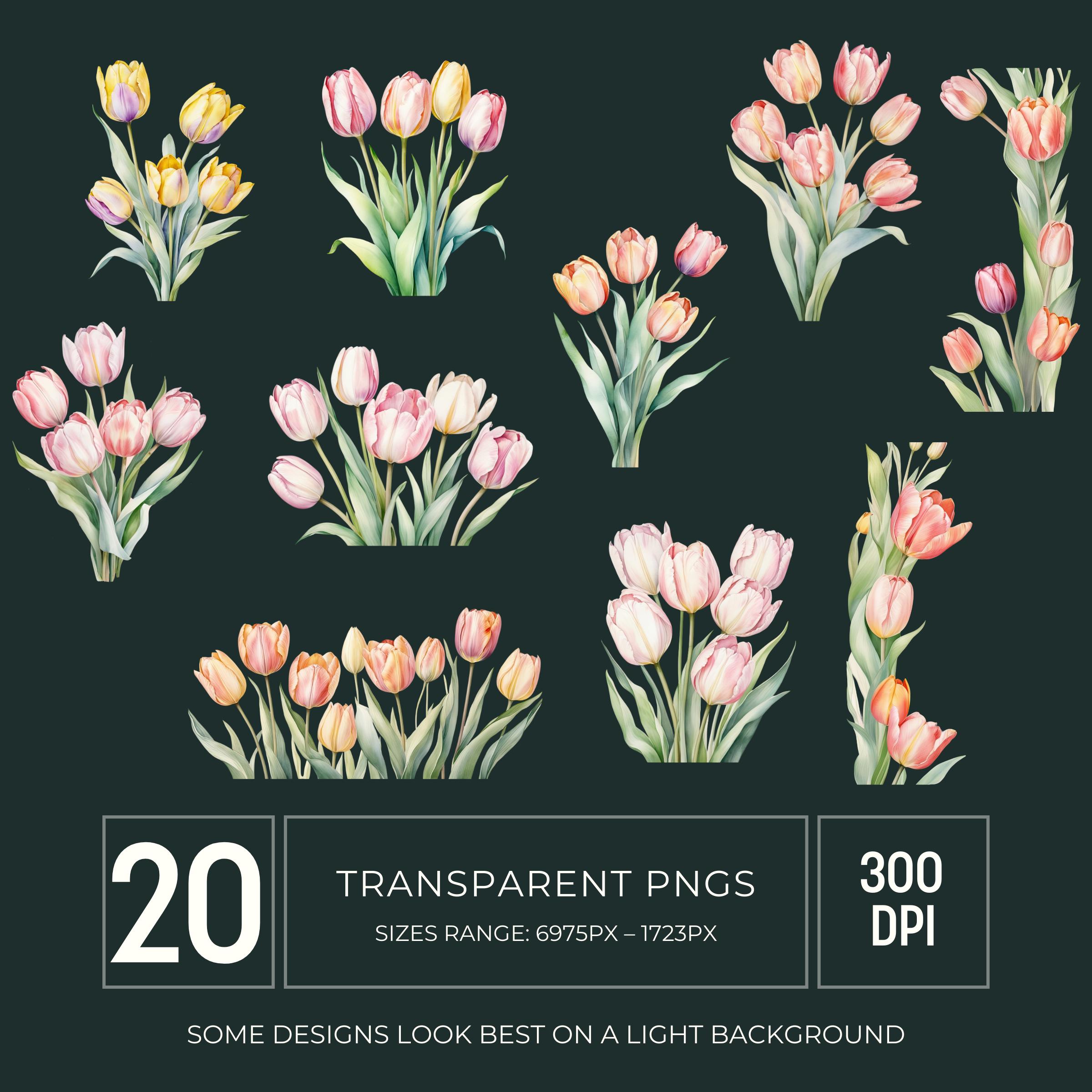 Spring Tulip Watercolor Clipart PNG, Seasonal Floral Graphics for ...