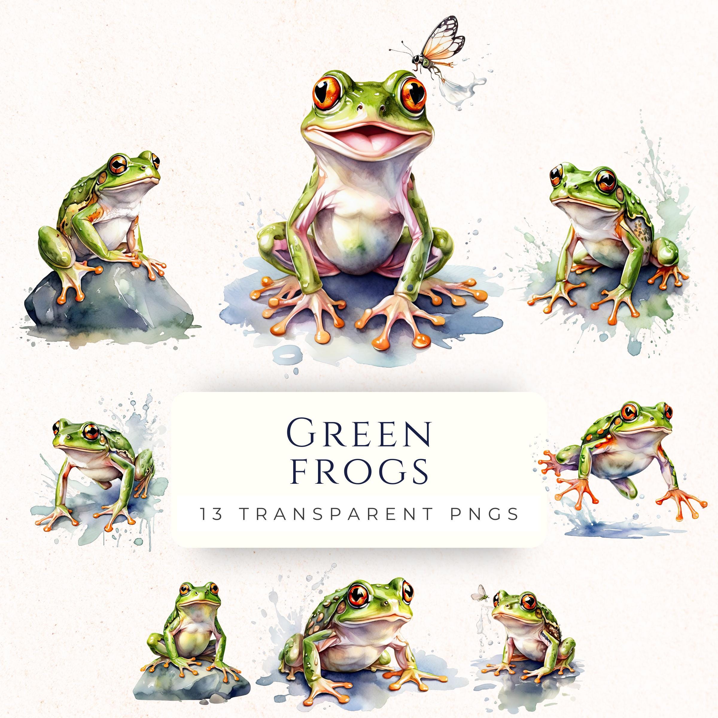 Green Frogs Clipart, Cute Frog PNG, Watercolor Animal Clipart ...