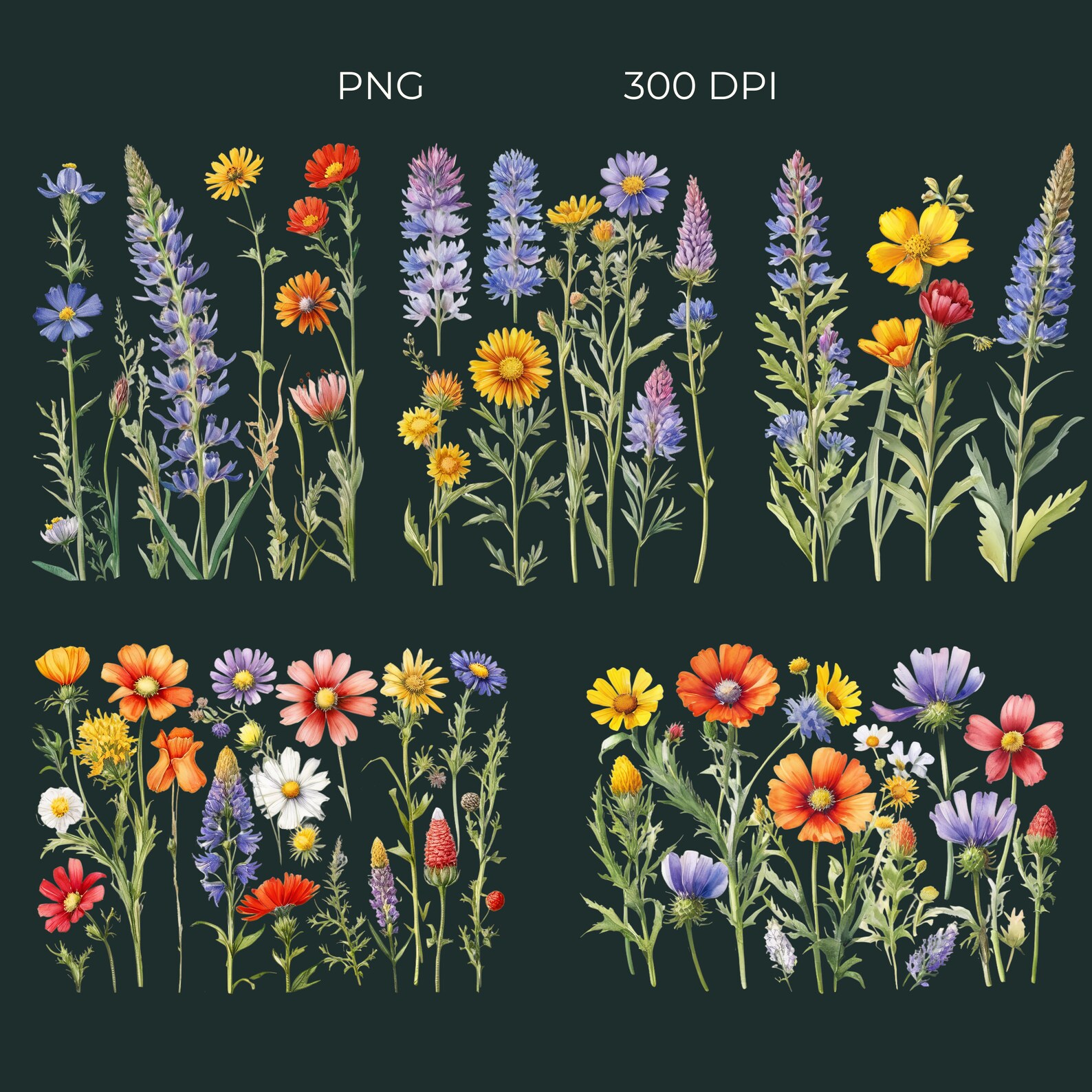 Texas Wildflower Clipart Set, Instant Download PNG Files, Wildflower ...