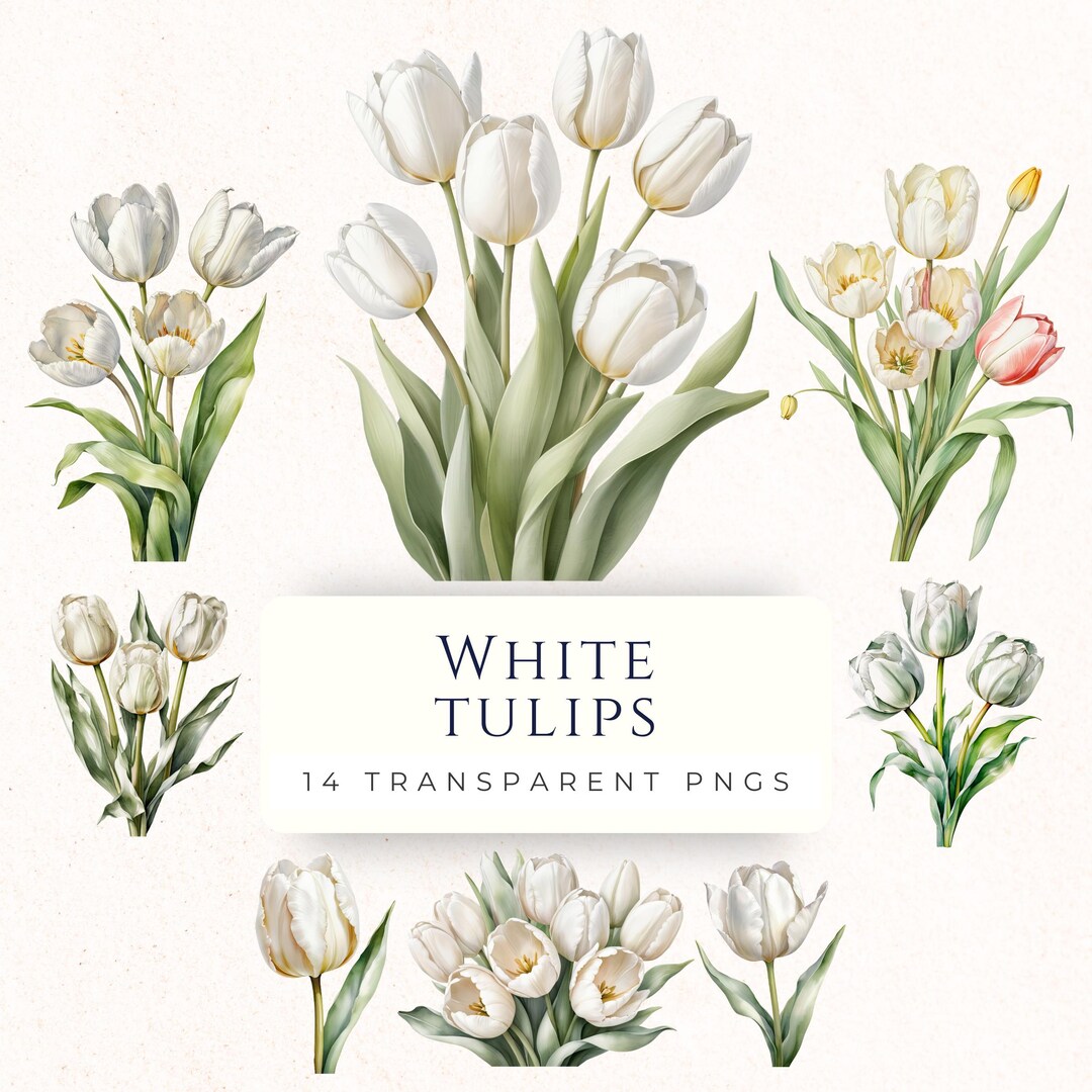 Watercolor Tulip Clipart, White Tulips Floral Design, Spring Flower ...