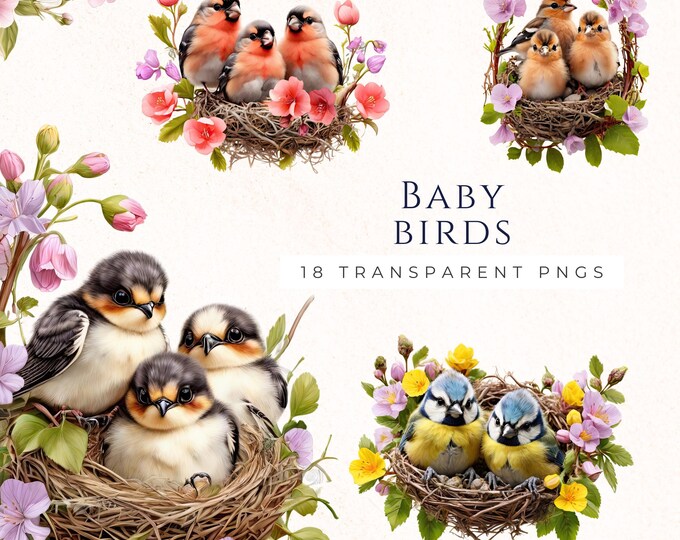 Spring Birds Clipart, Watercolor PNG, Nursery Decor (digital Download ...