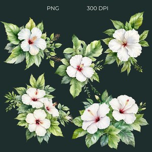 Hawaiian Hibiscus Clipart Set, Watercolor Floral Illustrations, Instant ...