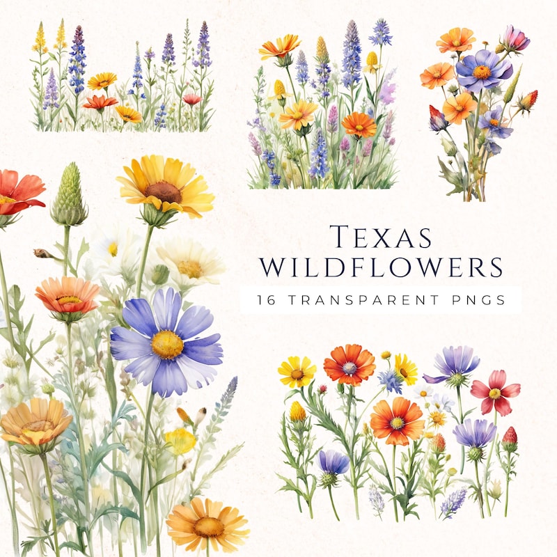 Texas Wildflowers - Etsy