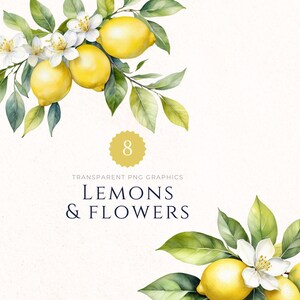 Citrus Lemon Clipart Pack, Watercolor Clip Art Set, Scrapbook Paper ...