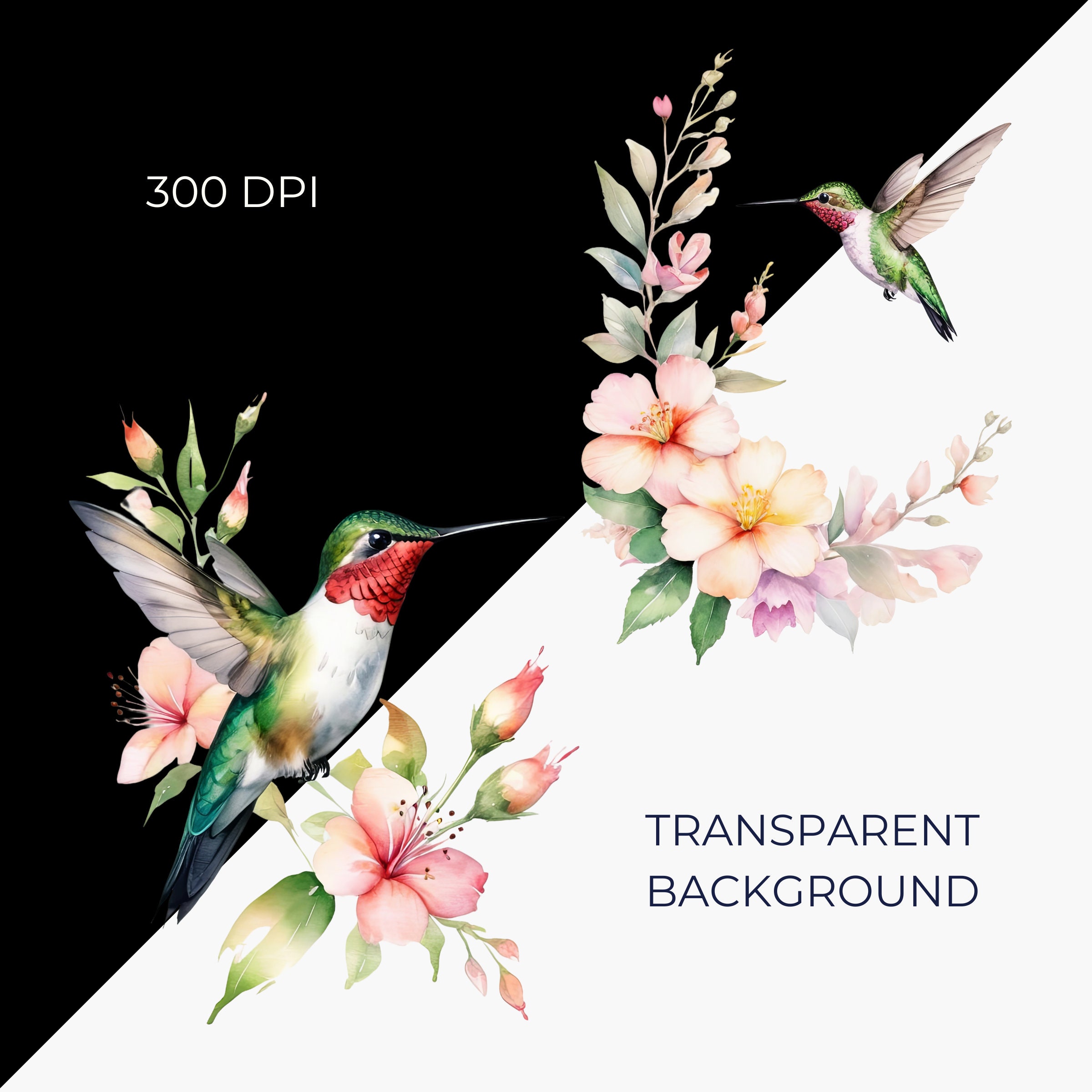 Hummingbird Clipart Digital Download, Watercolor Bird Clip Art ...