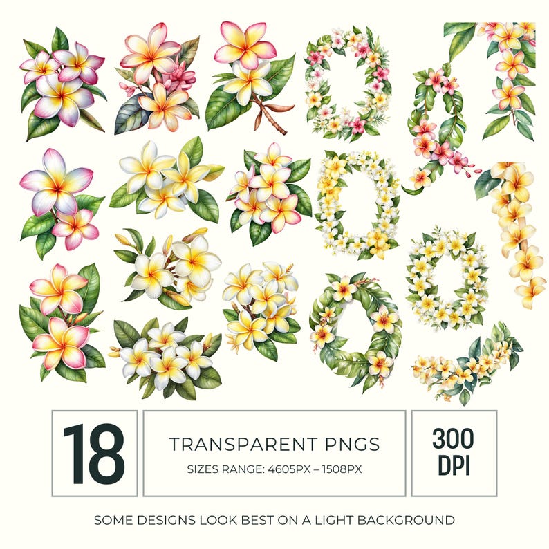 Plumeria Frangipani Watercolor Clipart Pack PNG, Tropical Hawaiian ...