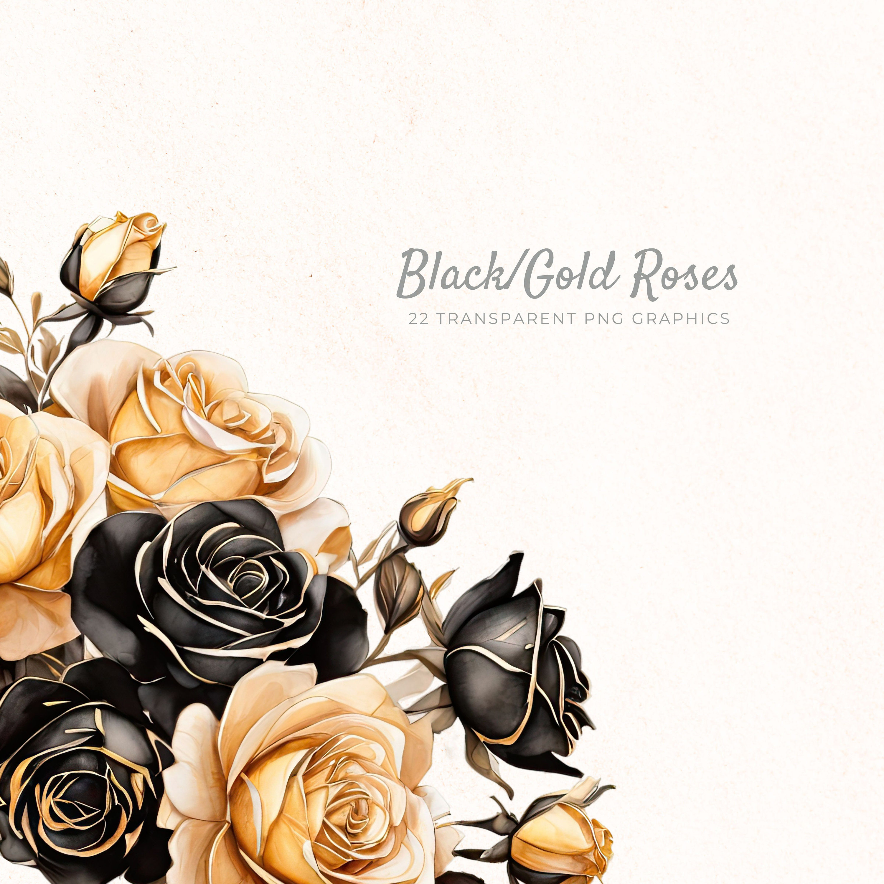 Black and Gold Roses Clipart, Instant Download, Floral PNG, Flower ...