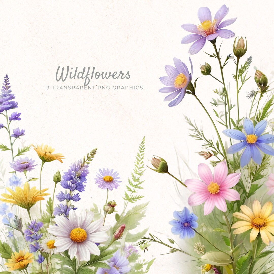 Watercolor Wildflower Clipart Set, Scrapbook Graphics, Card Making ...