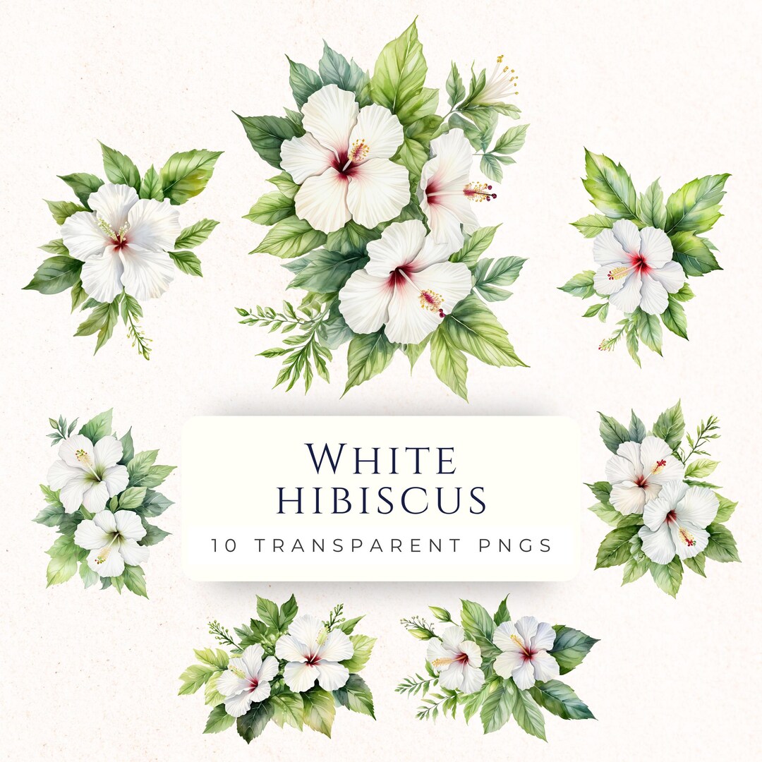 Hawaiian Hibiscus Clipart Set, Watercolor Floral Illustrations, Instant ...