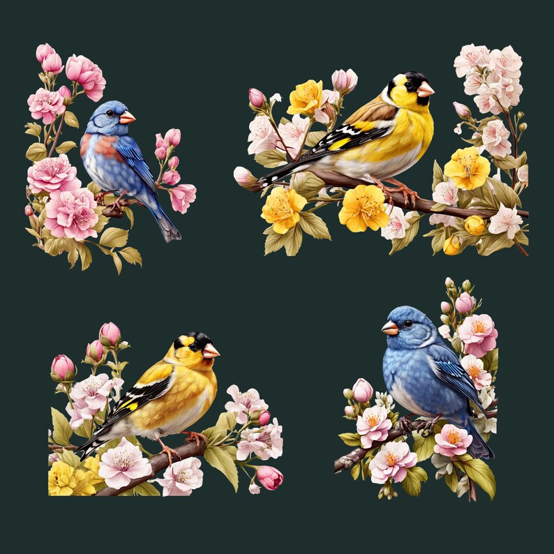 Spring Birds Clipart, Bird Clip Art, Digital Download, Instant Download ...