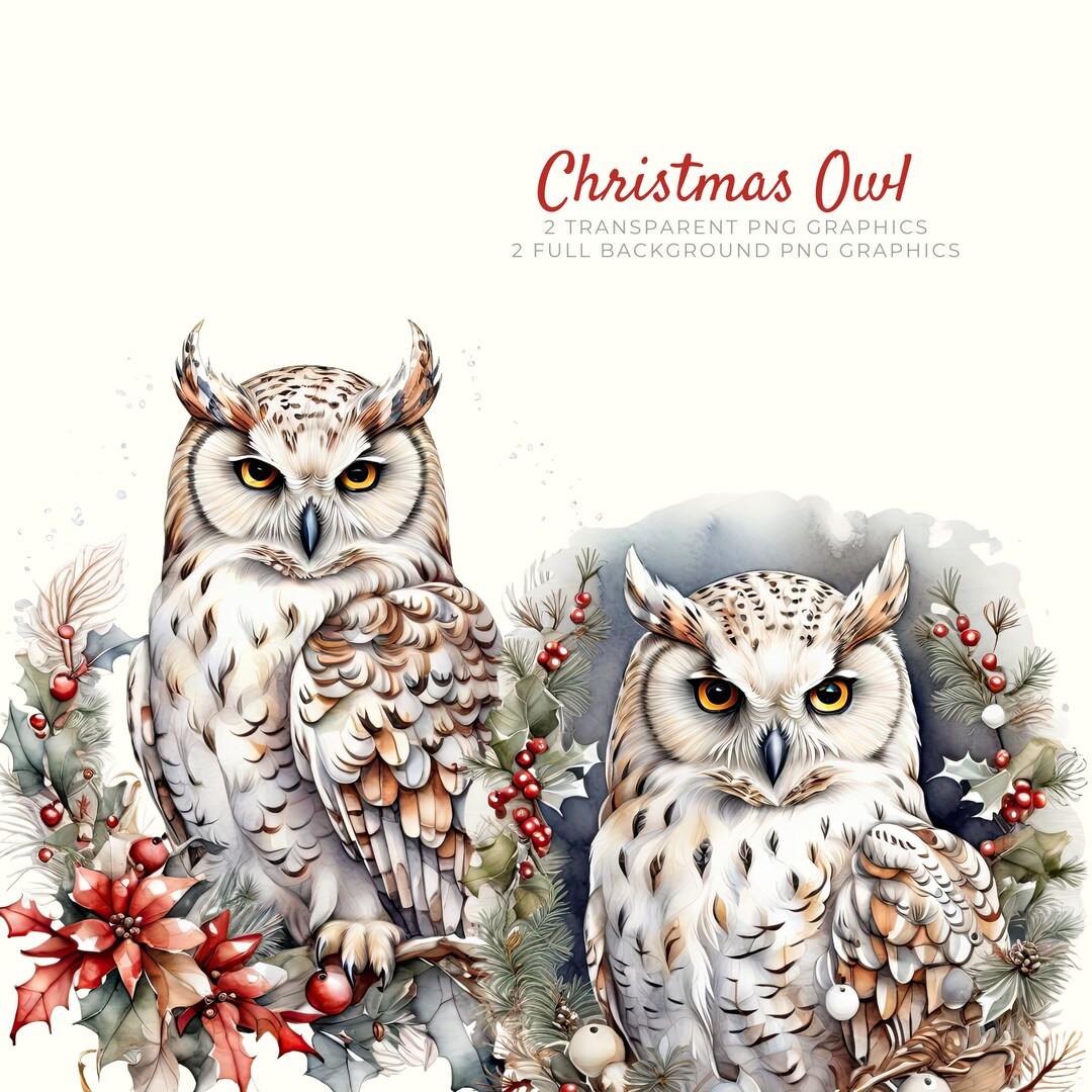 Christmas Owl Clipart PNG, Holiday Bird Images, Xmas Wildlife Clip Art ...
